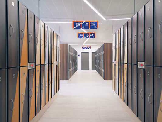 Luzhniki Water Sports Palace – Monotek Stroy